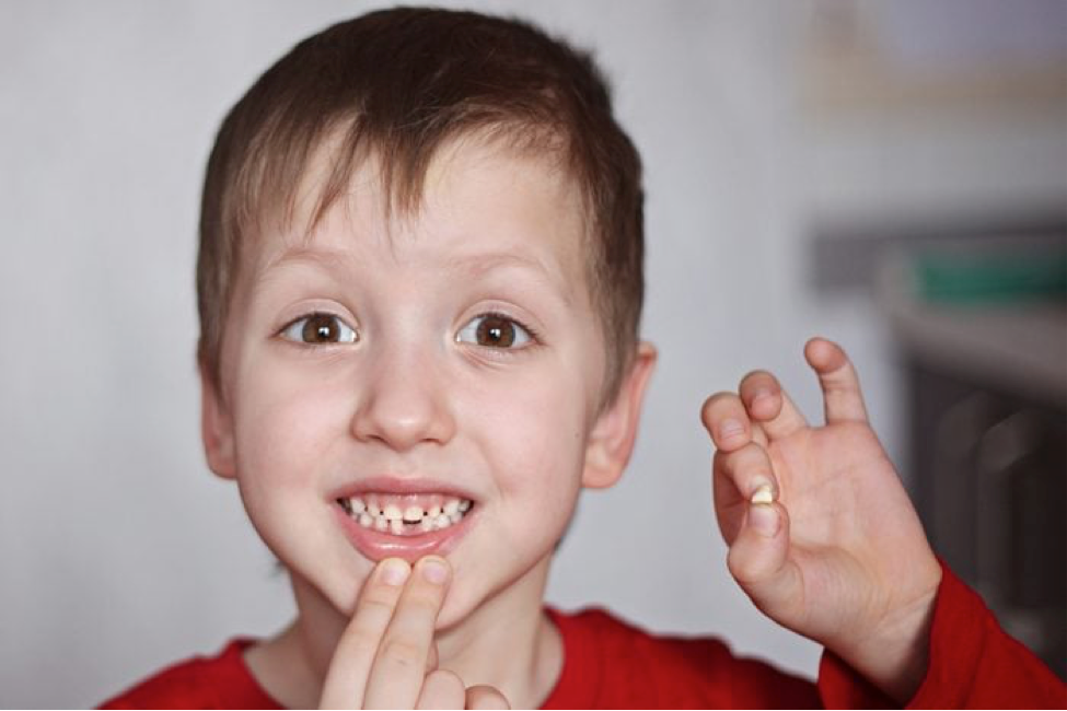 Tooth Fairy Notes – MyWish4U